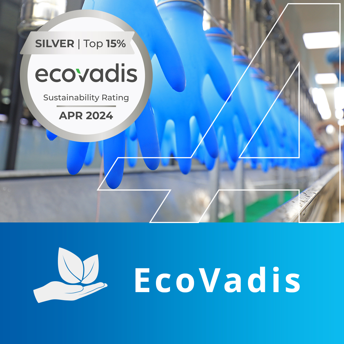 EcoVadis 2024